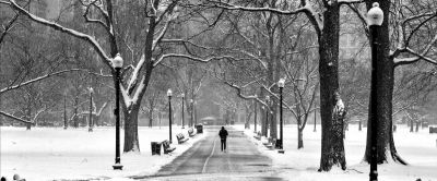 Library | City of Collins ~ Iowa